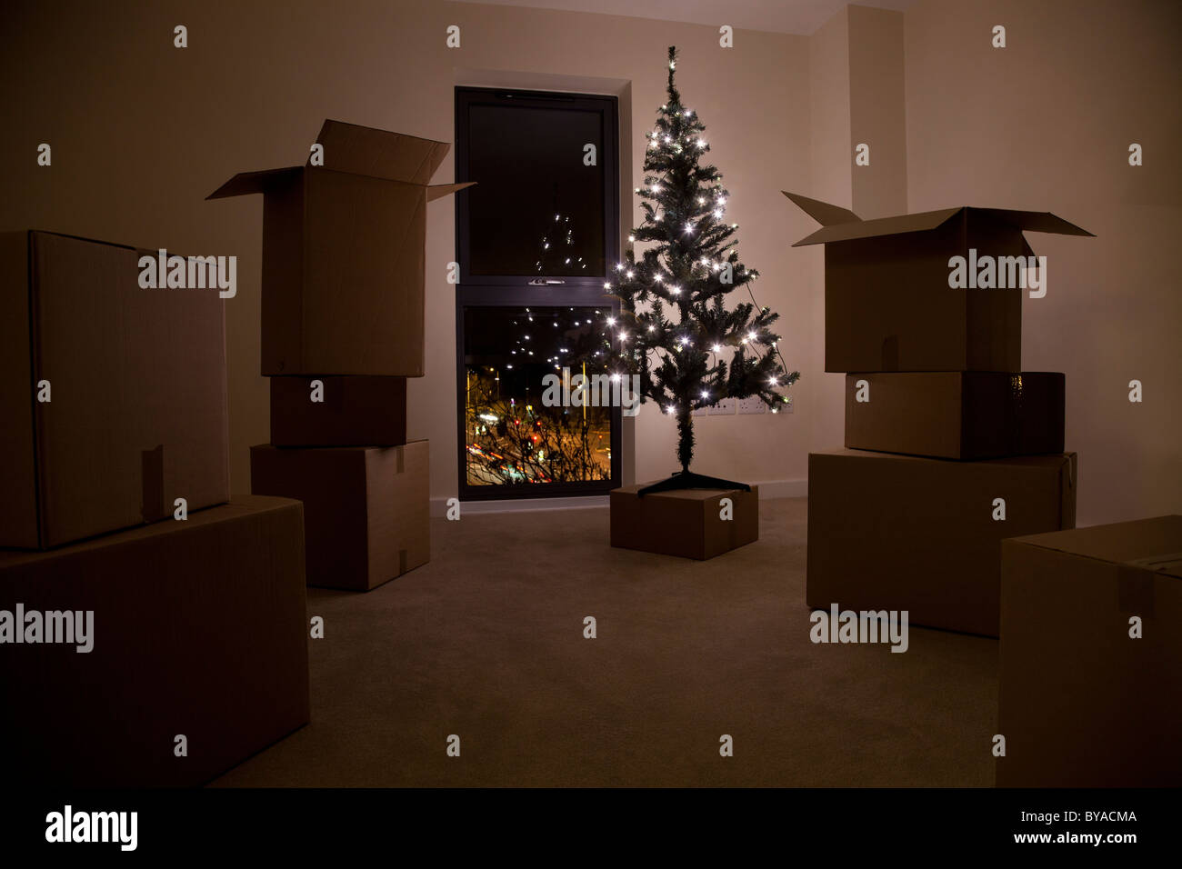 Xmas tree moving boxes hi-res stock photography and images - Alamy