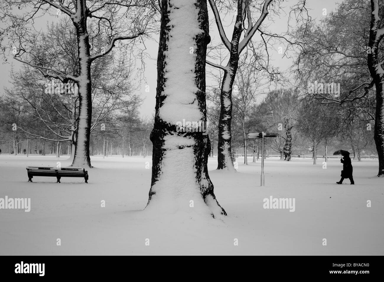 Heavy snow in Kensington Gardens, London, UK Stock Photo - Alamy