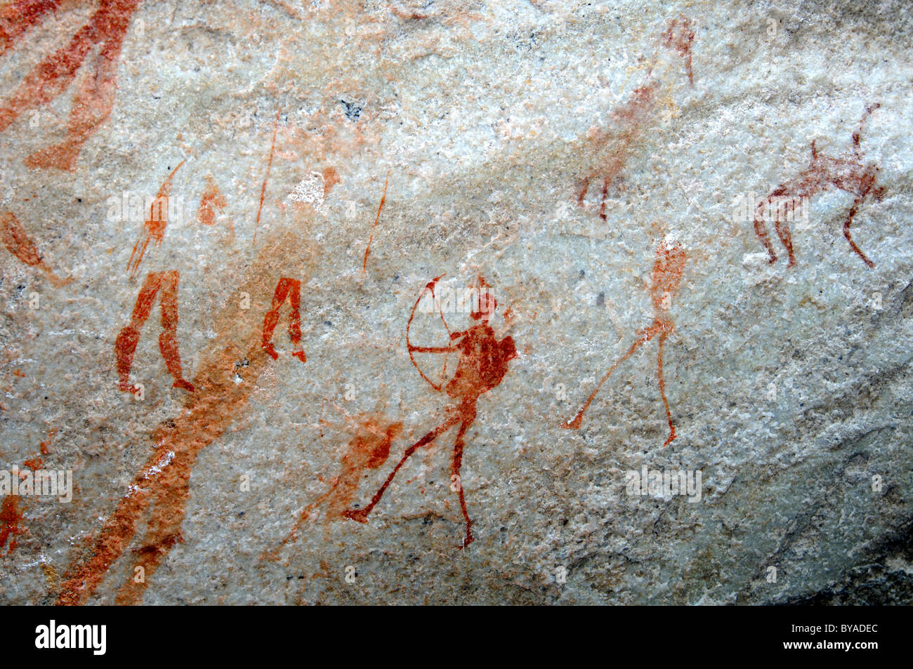 Archers with drawn bows, prehistoric rock drawings of the Bushmen on ...