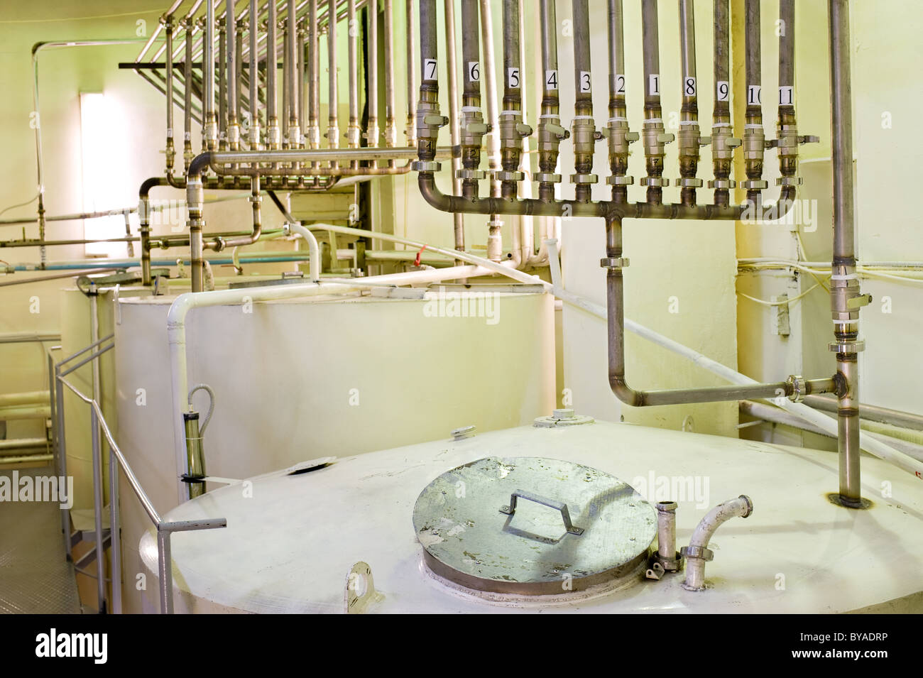 a line of containers for production of alcohol drinks Stock Photo - Alamy