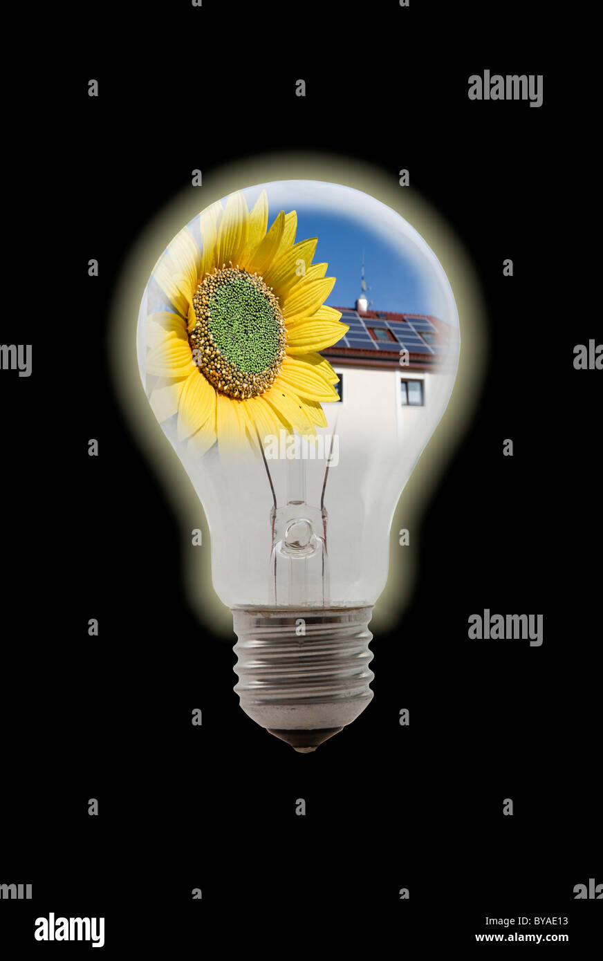 Light bulb with a house, solar panels and a sun flower, symbolic image ...
