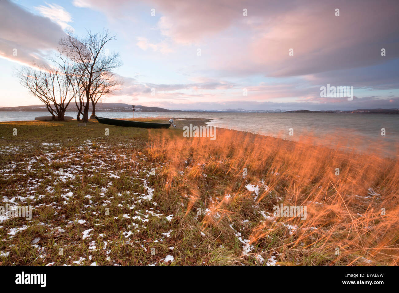 Reichenau island on Lake Constance in the evening light, Baden ...