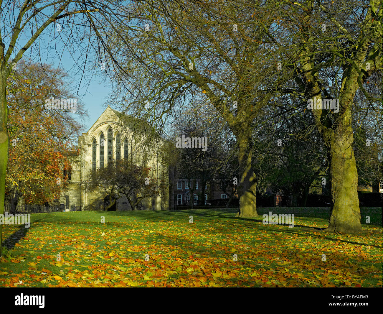 York minster library hi-res stock photography and images - Alamy