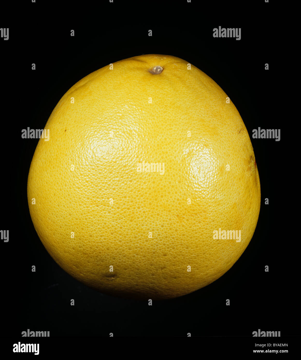 Whole red-fleshed pummelo, pomelo or pommelo fruit Stock Photo - Alamy