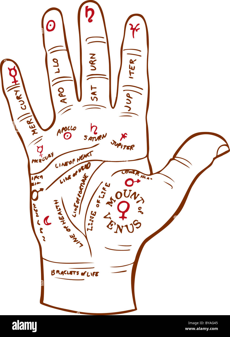Palm reading map hi-res stock photography and images - Alamy