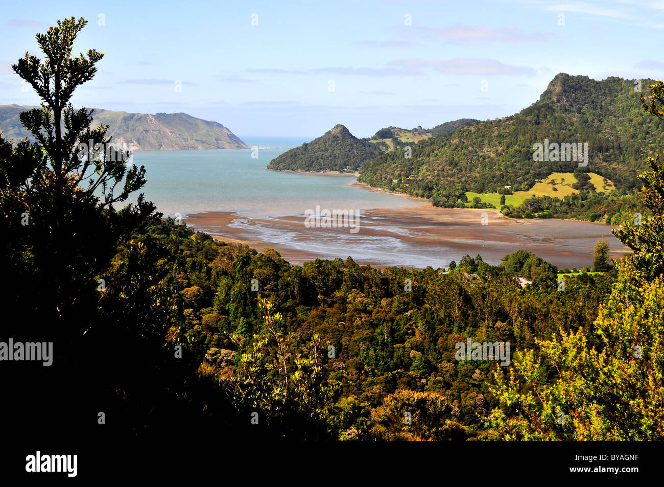Huia bay hi-res stock photography and images - Alamy