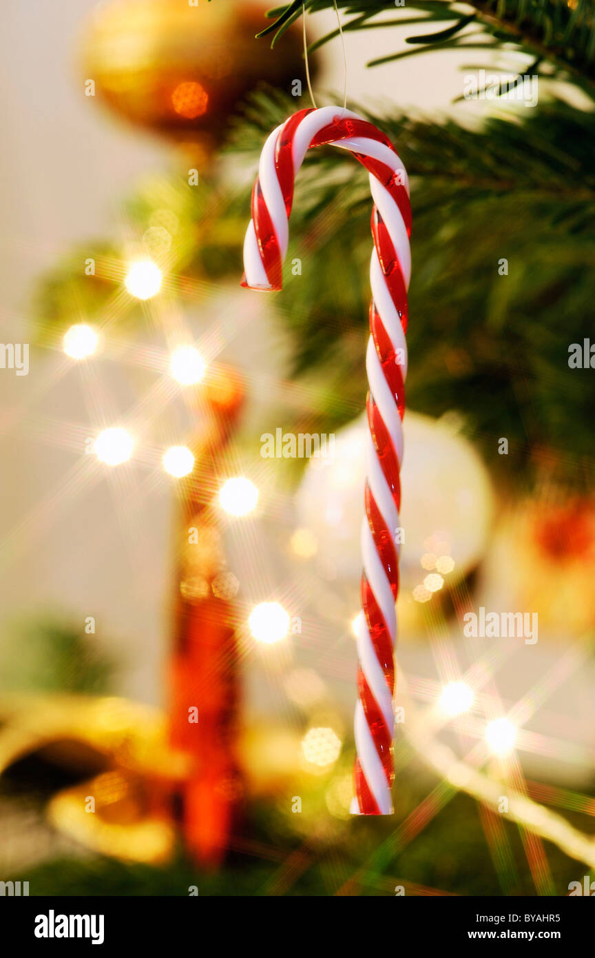 Candy cane on a Christmas tree as a Christmas decoration Stock Photo ...