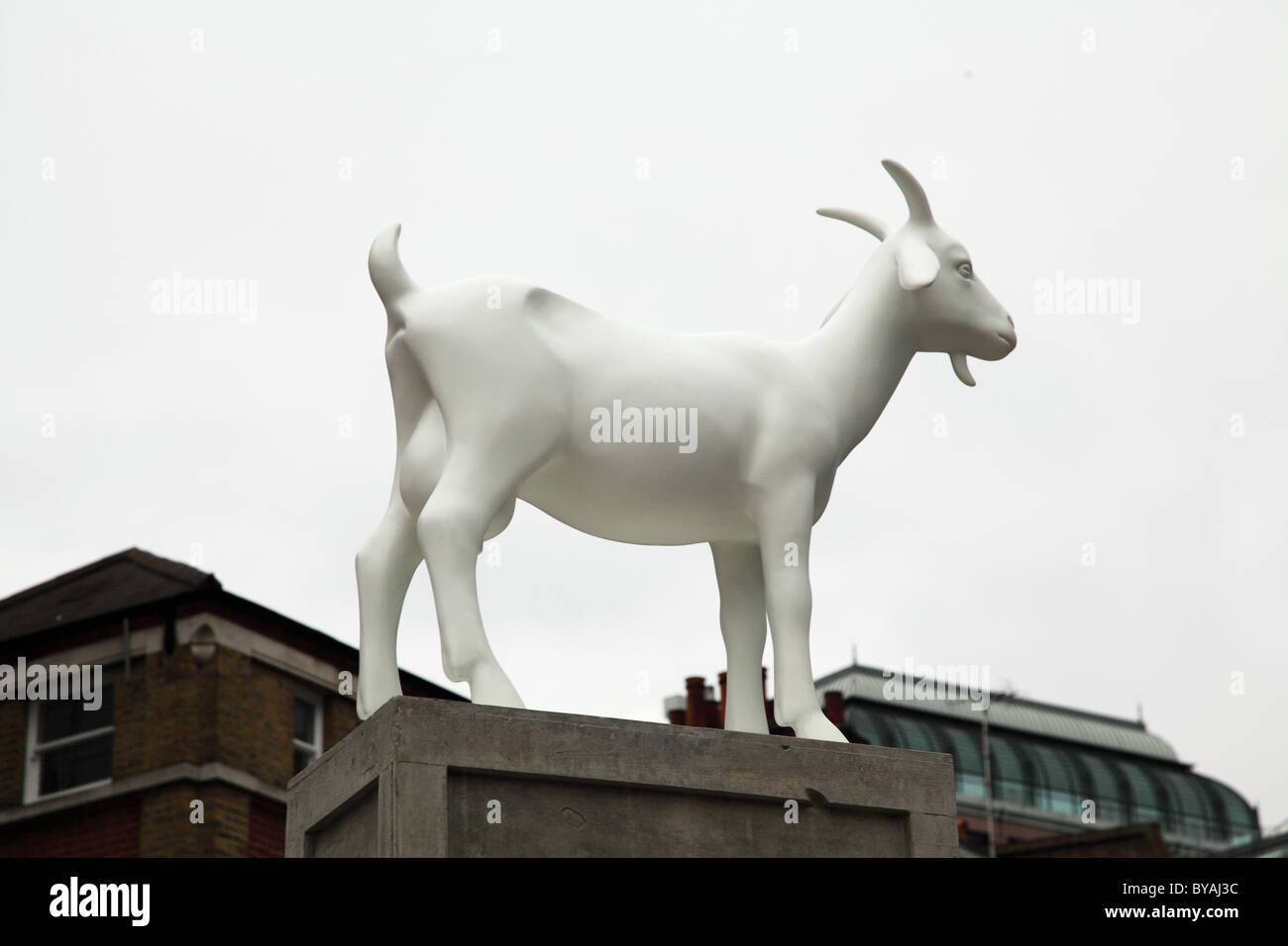 London goat hi-res stock photography and images - Alamy