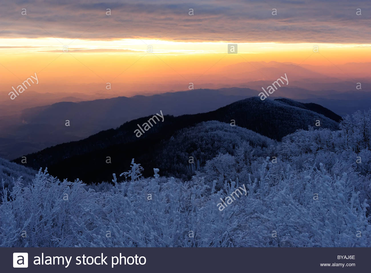 Remote Forest Stock Photos & Remote Forest Stock Images - Alamy