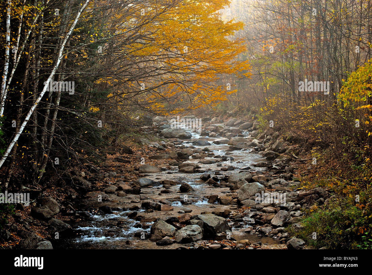 A Clear Stream In Autumn Stock Photo - Alamy