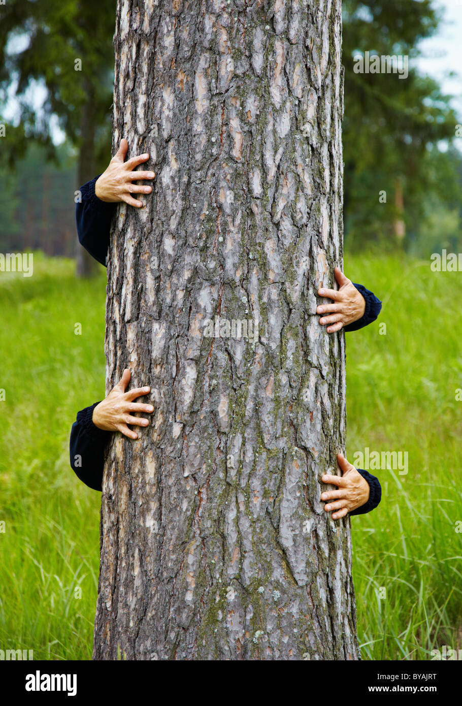 Man climbs the tree hi-res stock photography and images - Alamy