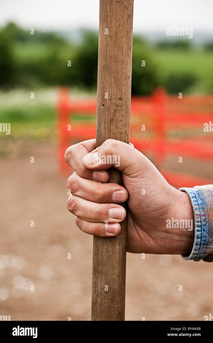 hand holding rake handle Stock Photo - Alamy