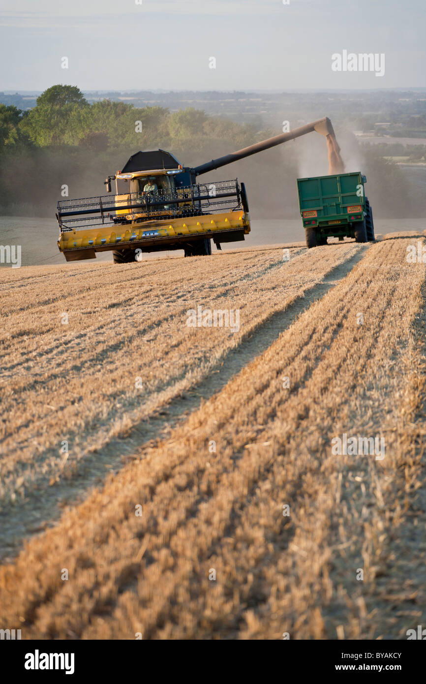 New Holland CX880 combine harvester at work in Oxfordshire England ...