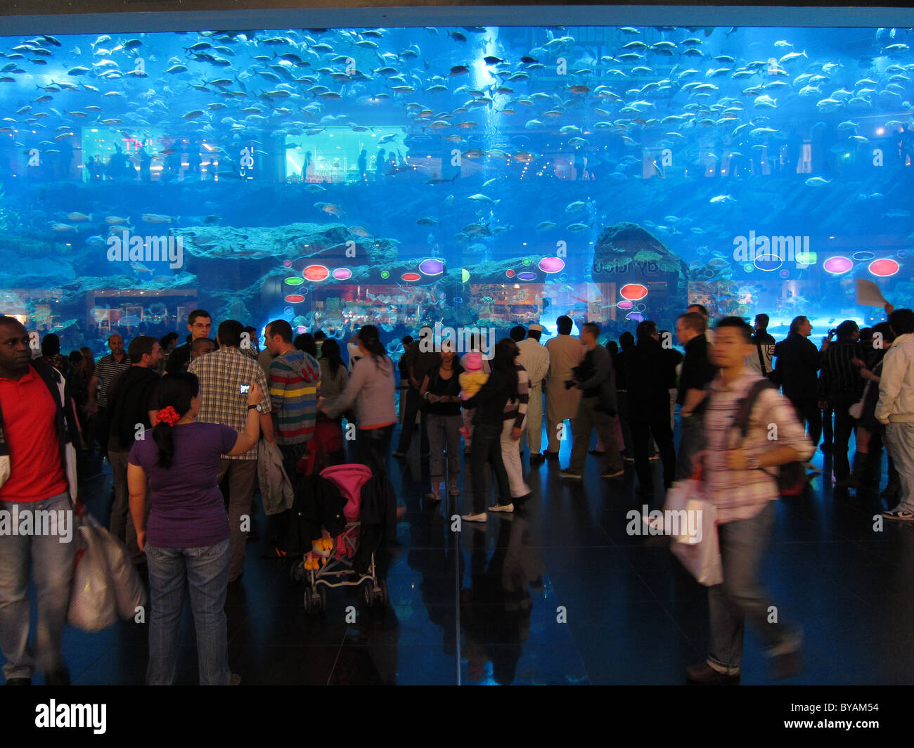 Dubai Mall Zoo
