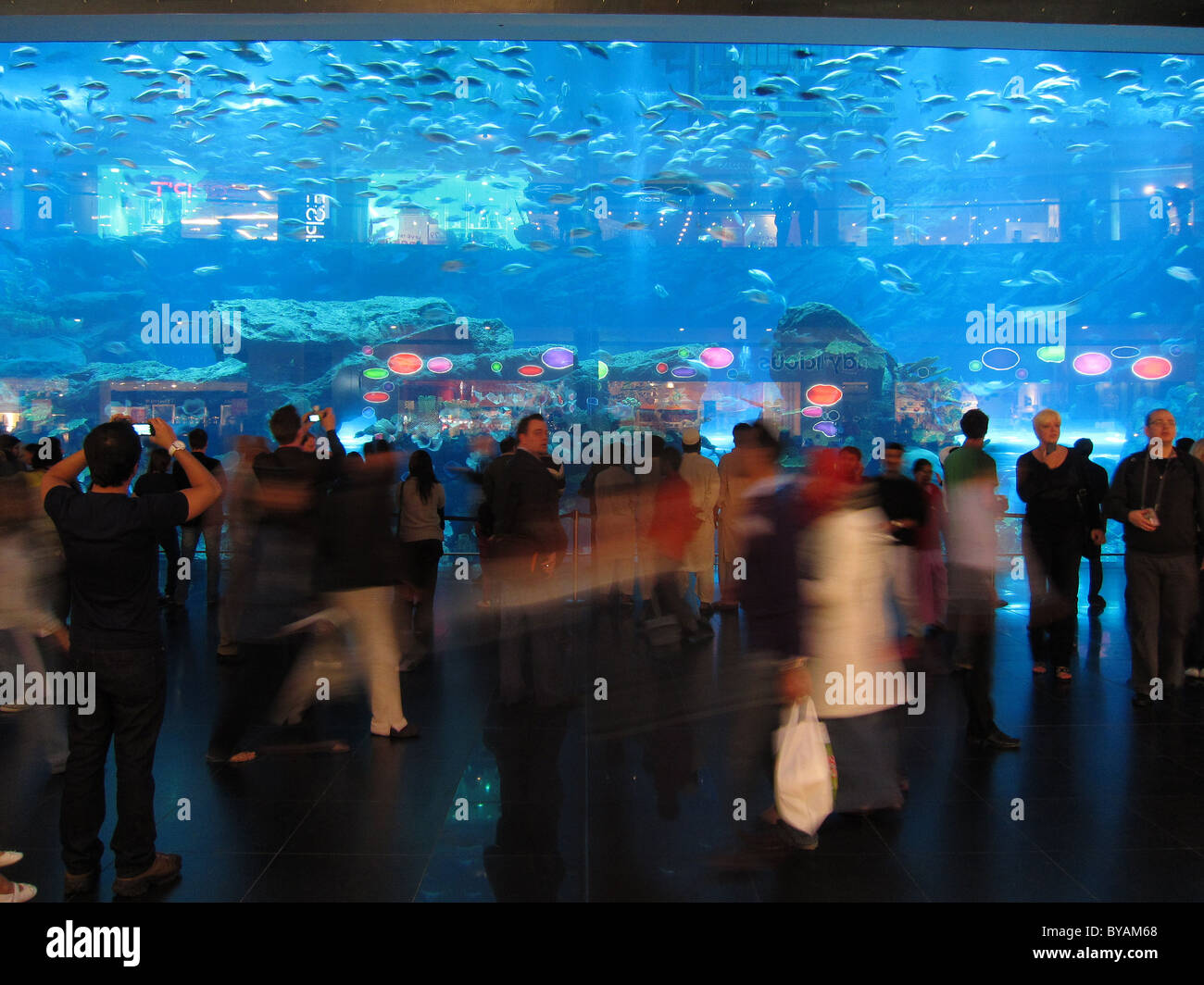 Dubai aquarium and underwater zoo hi-res stock photography and images ...