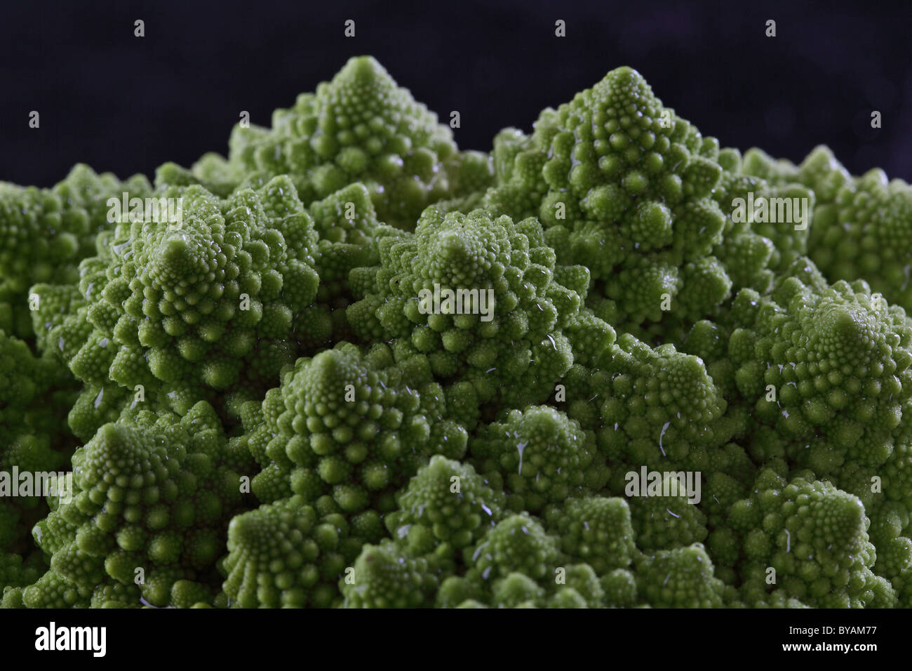 Roman Romanesco cauliflower Stock Photo - Alamy