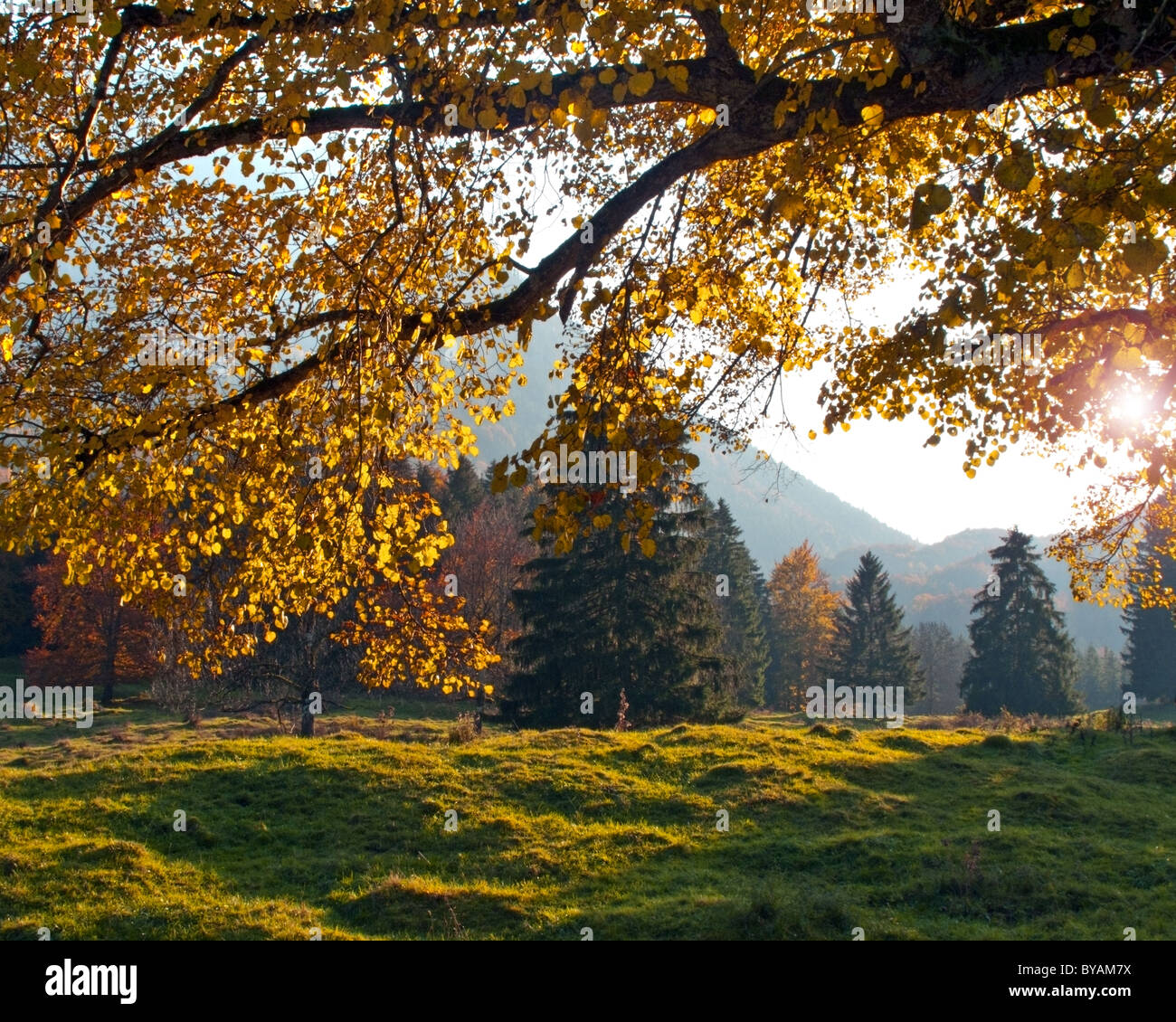 Bavarian colours hi-res stock photography and images - Alamy