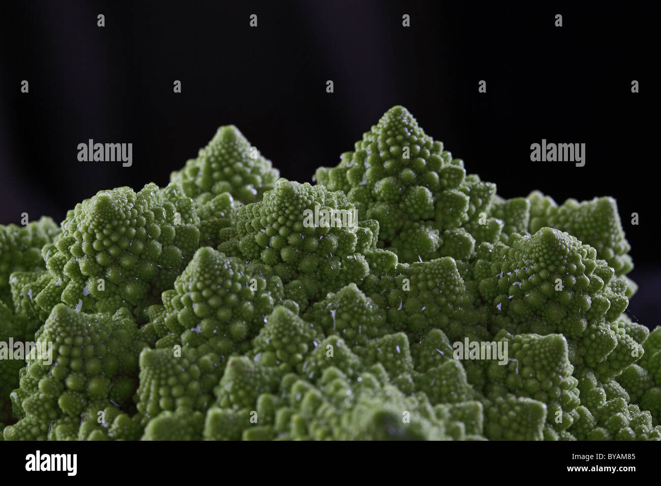 Roman Romanesco cauliflower Stock Photo - Alamy