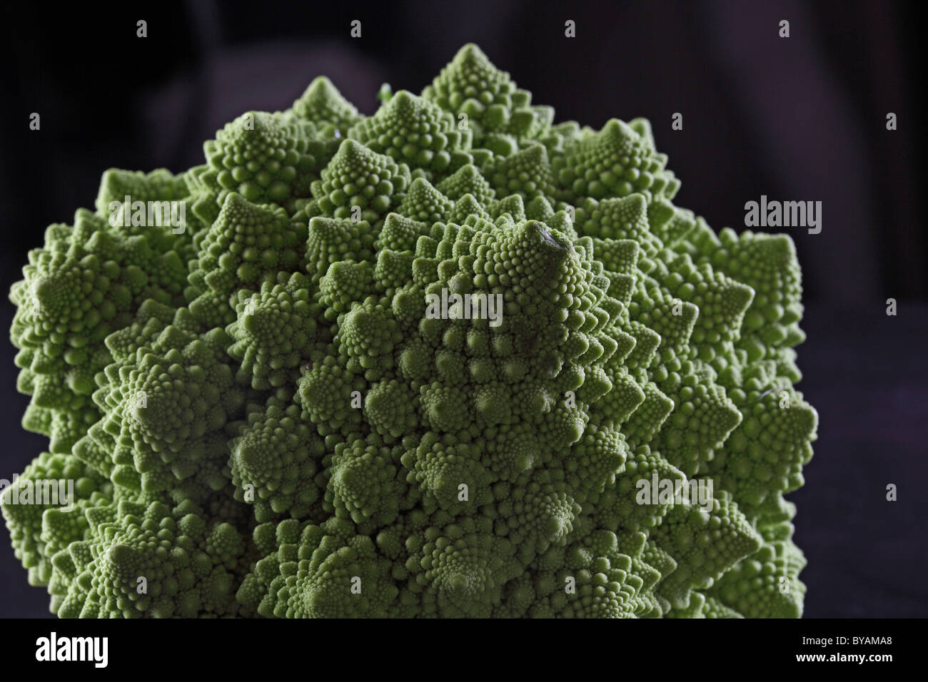 Roman Romanesco cauliflower Stock Photo - Alamy