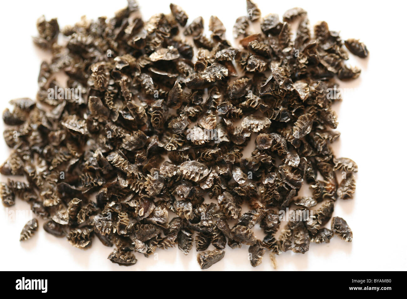 Monkshood High Resolution Stock Photography and Images - Alamy