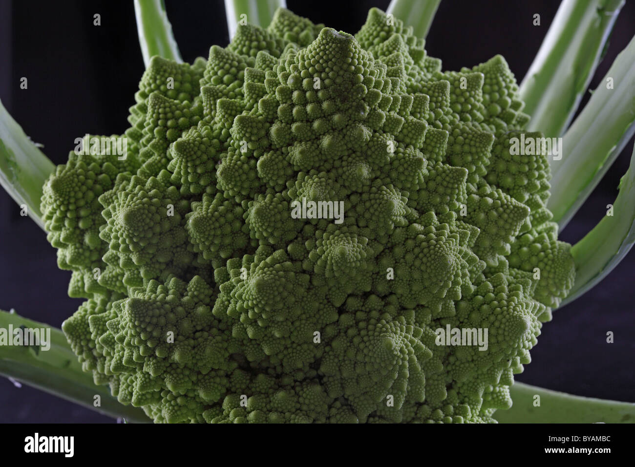 Roman Romanesco cauliflower Stock Photo - Alamy