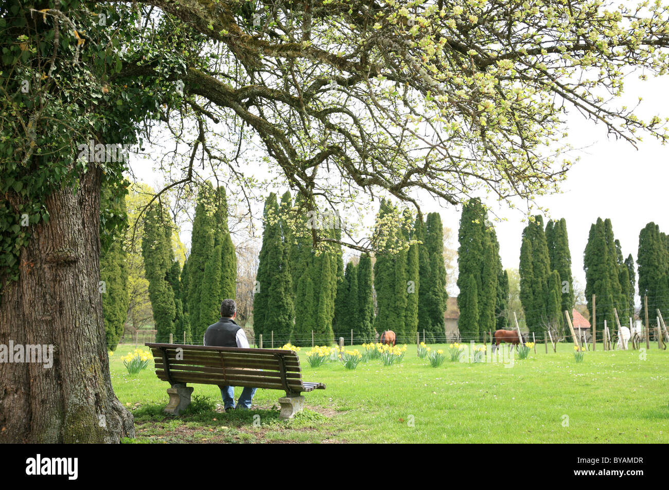 Man sitting on a park bench Stock Photo - Alamy