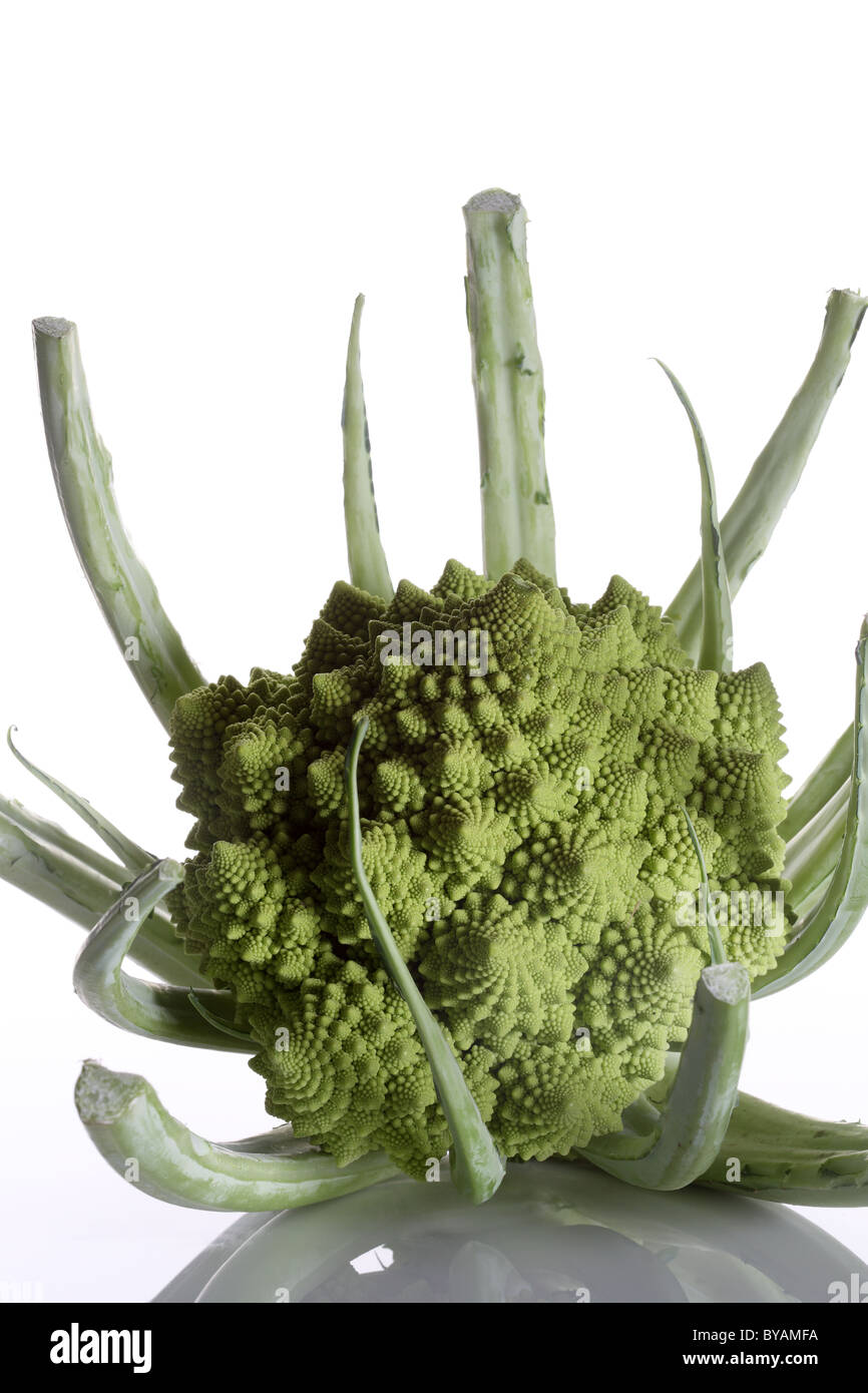 Roman Romanesco cauliflower Stock Photo - Alamy