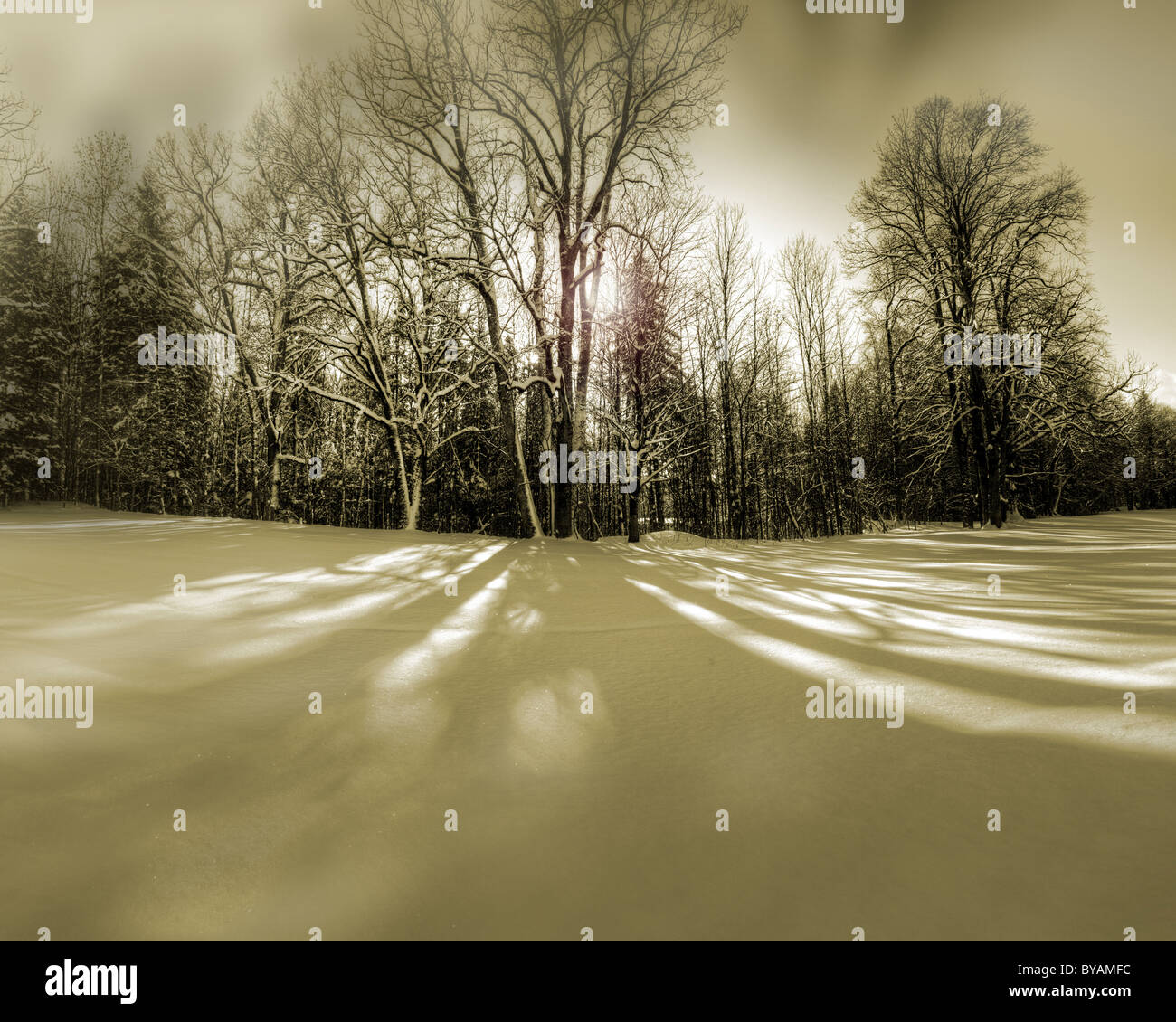 Horizontal scenic landscape snowy hi-res stock photography and images ...