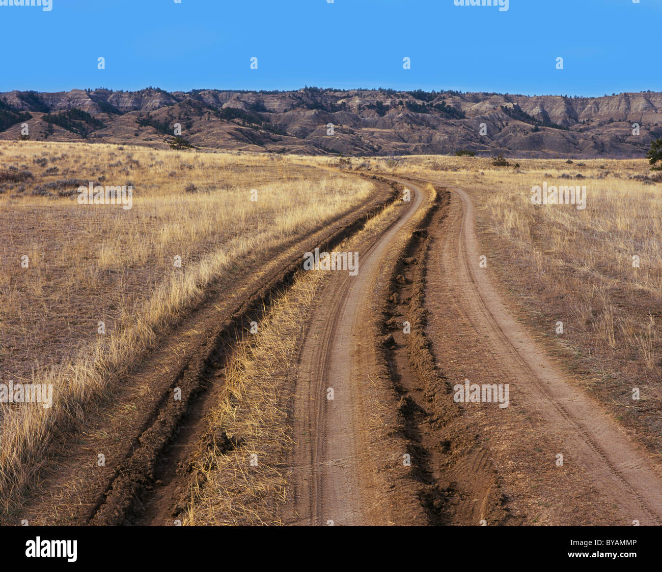 Deep tire ruts in dirt road Stock Photo - Alamy
