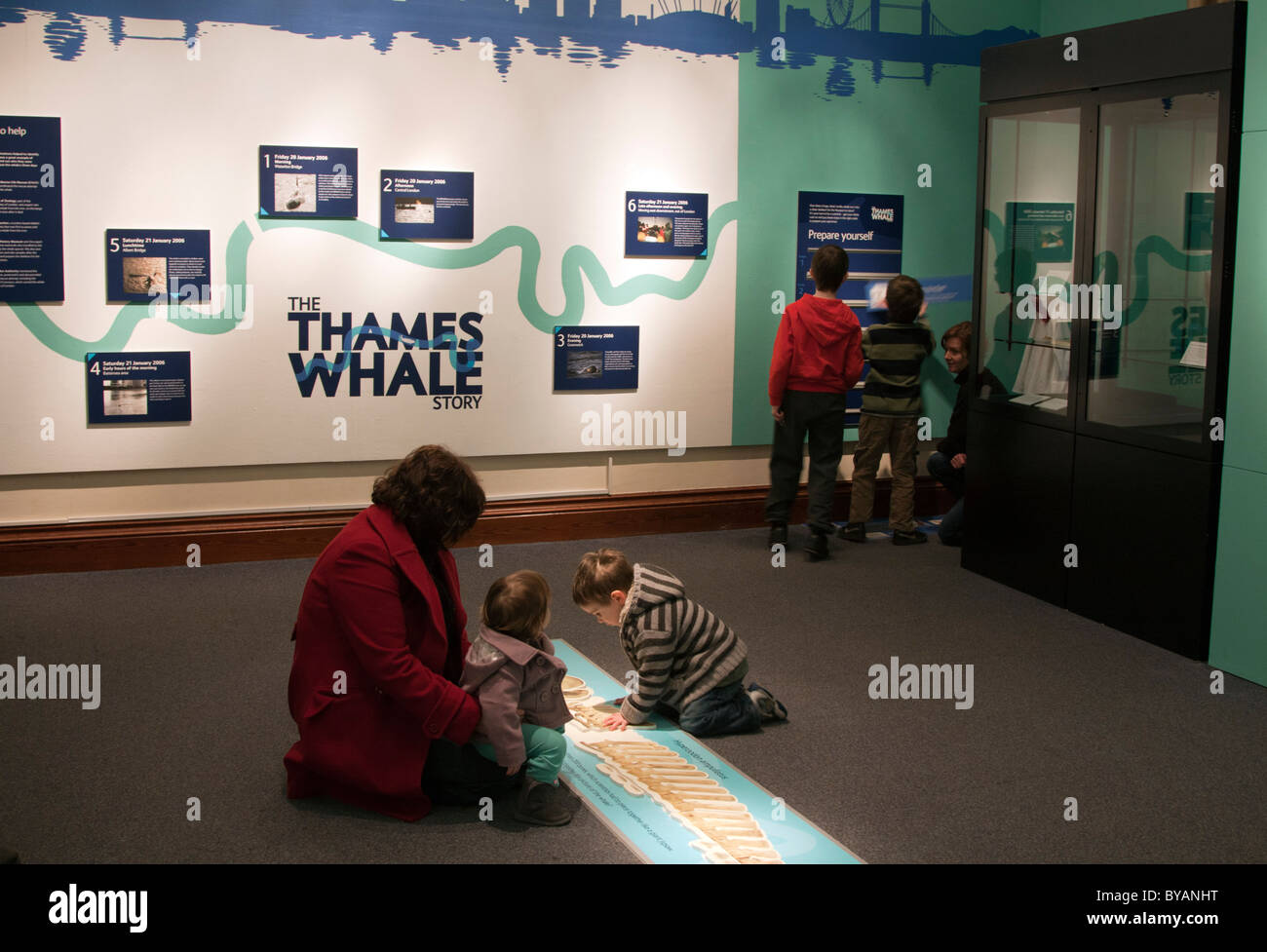 Thames Whale Exhibition - Natural History Museum of Tring ...