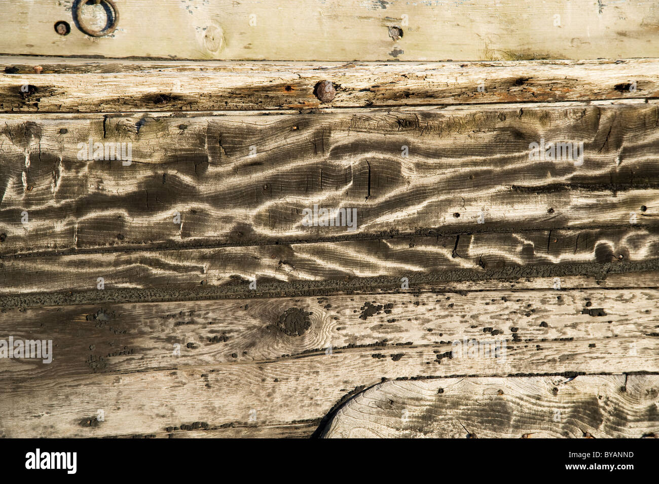 Bleached by the sun hi-res stock photography and images - Alamy