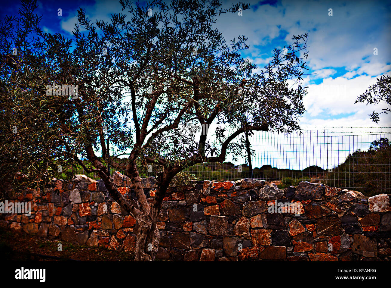 TRADITIONAL CRETAN VILLAGE AROLITHOS CRETE GREECE Stock Photo - Alamy