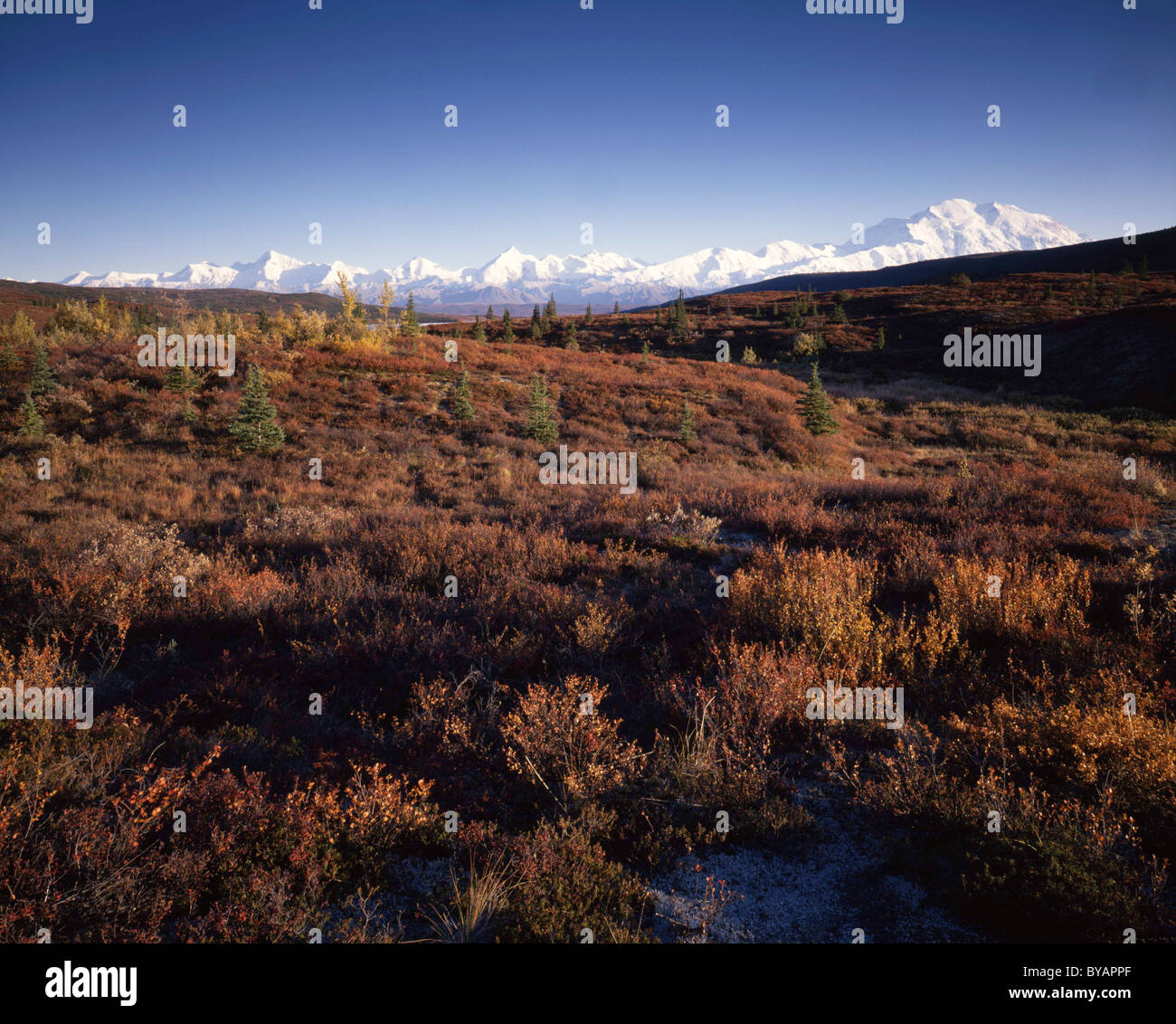Mt mckinley lodge hi-res stock photography and images - Alamy
