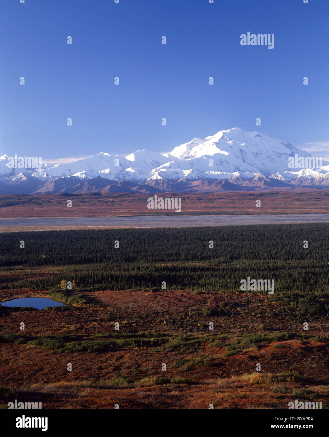 Mount McKinley, Mt. McKinley, Fall, Denali National Park, Alaska Stock ...