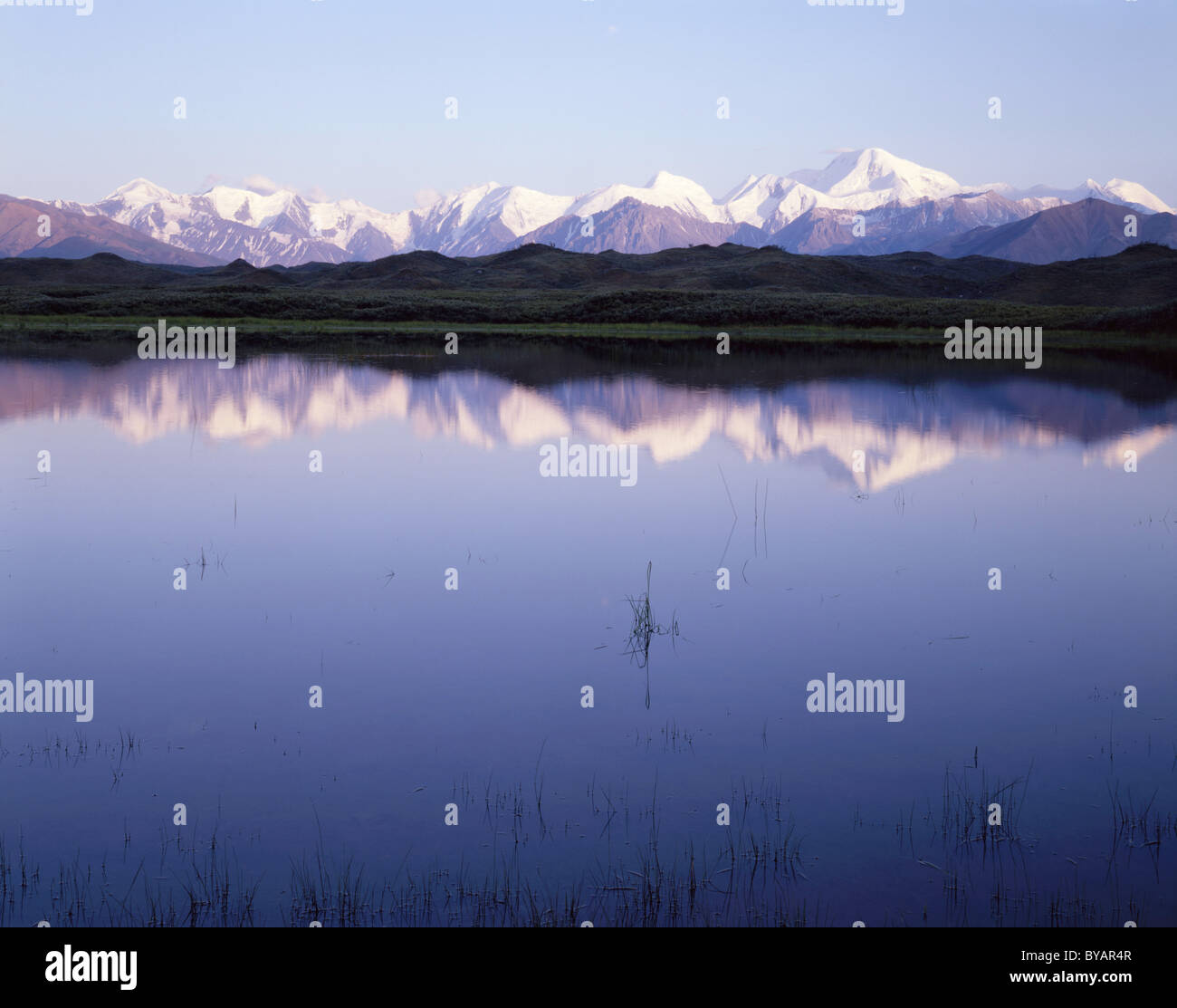 Sunset, Tundra Pond, Reflection, Mount McKinley, Mt. McKinley, Denali ...