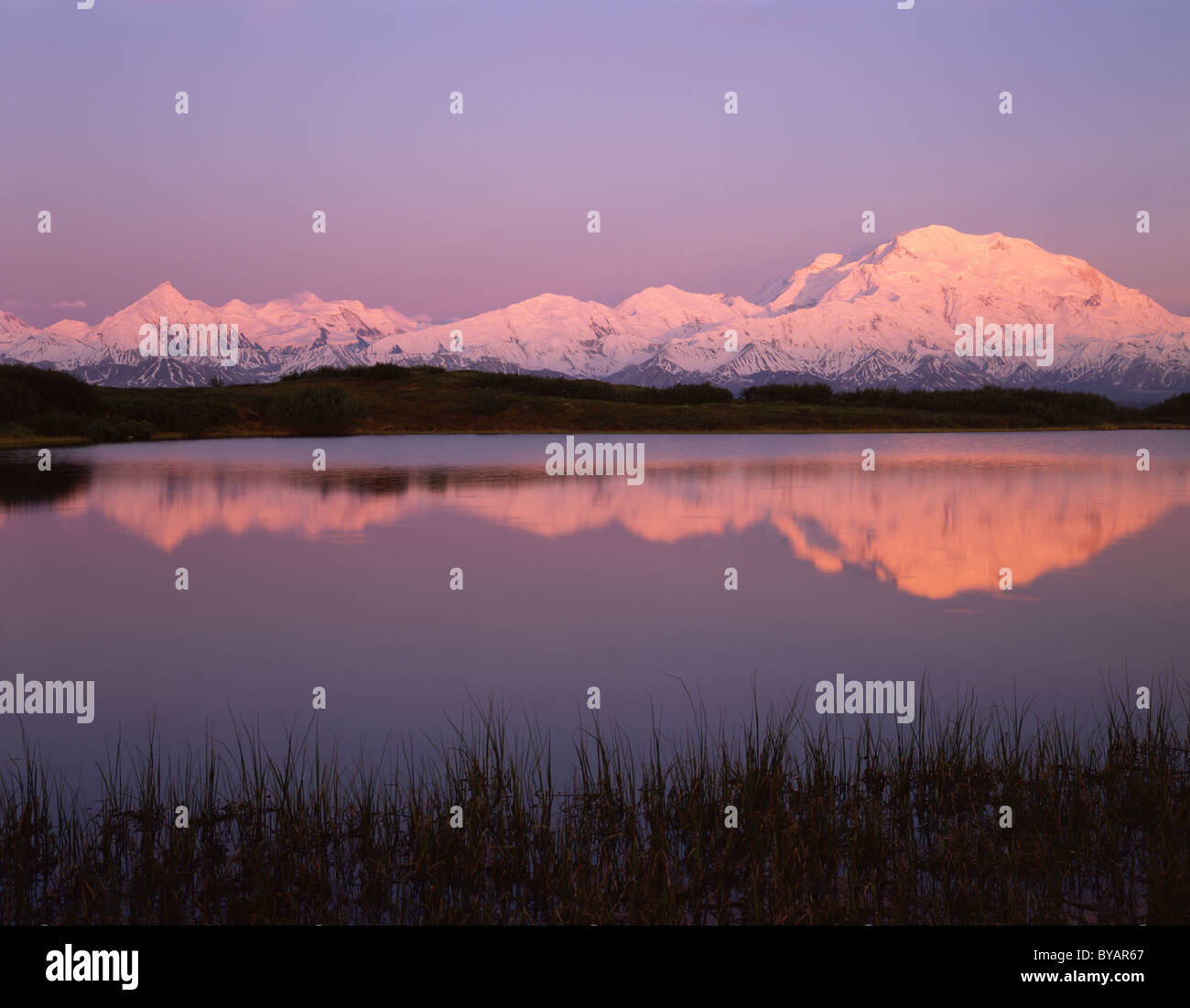 Sunset, Tundra Pond, Reflection, Mount McKinley, Mt. McKinley, Denali ...