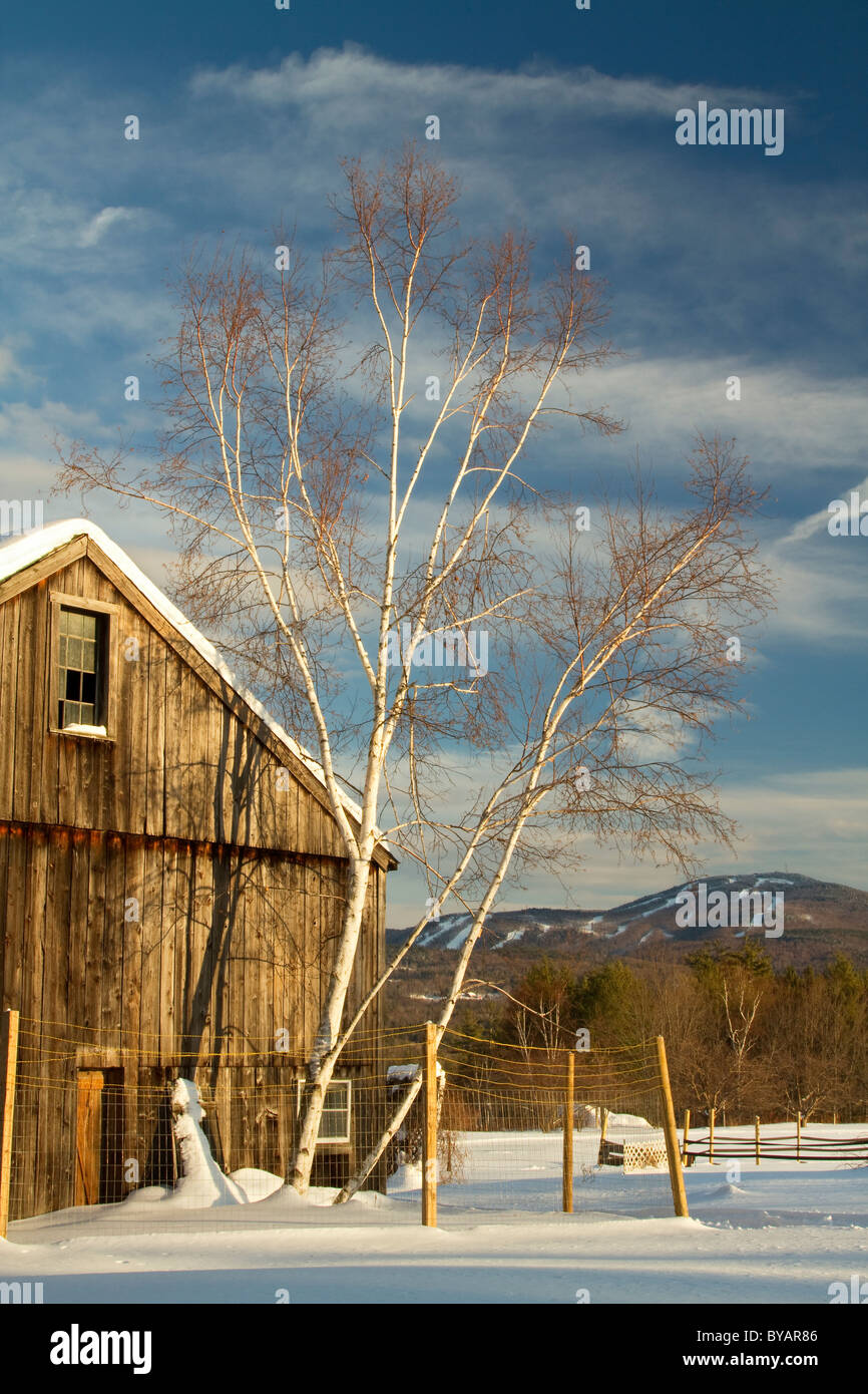 Farmnew hi-res stock photography and images - Alamy