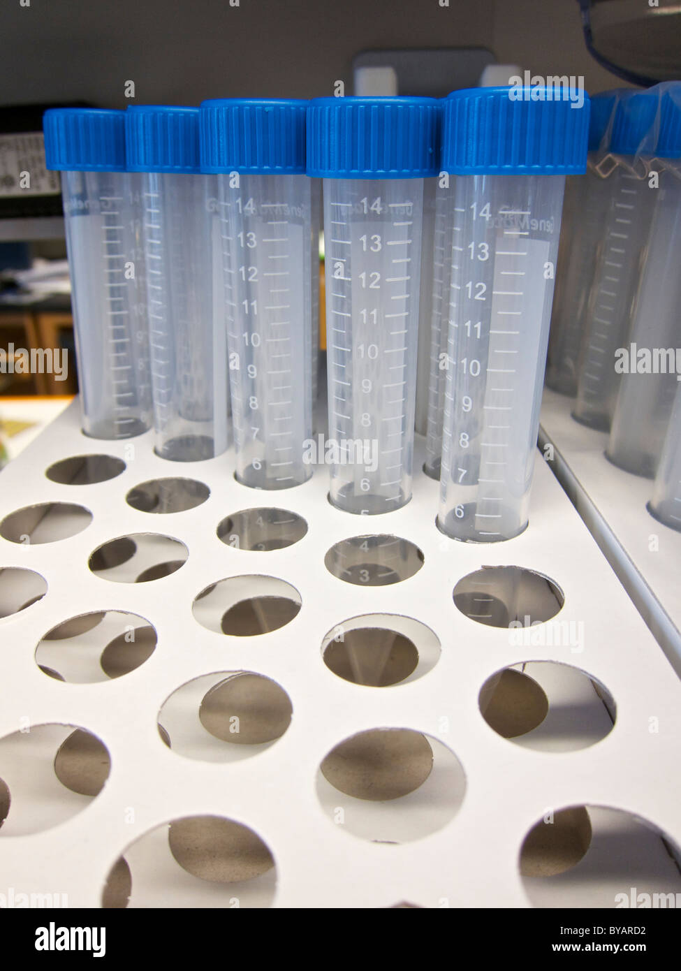Plastic test tubes in laboratory. BD Biosciences Falcon Tubes Stock ...