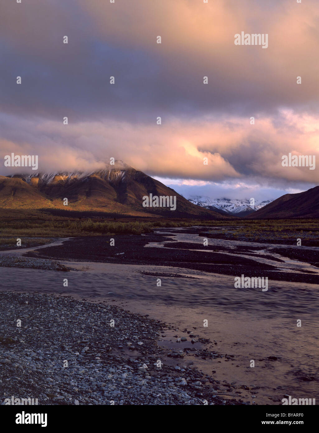 Fall, Sunset, Savage River, Denali National Park, Alaska Stock Photo ...