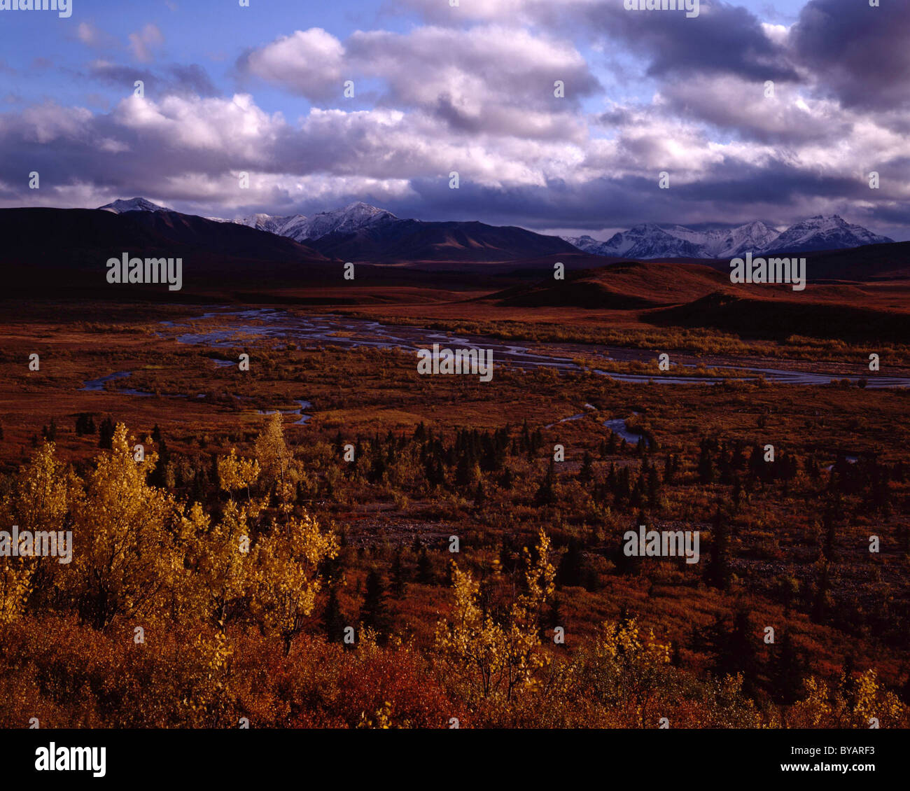 Fall, Sunset, Savage River, Denali National Park, Alaska Stock Photo ...