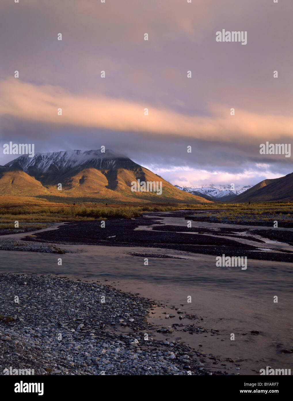 Fall, Sunset, Savage River, Denali National Park, Alaska Stock Photo ...