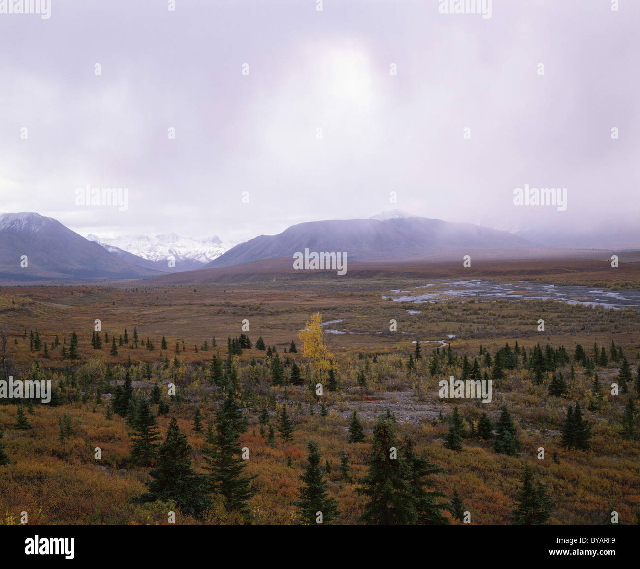 Fall, Sunset, Savage River, Denali National Park, Alaska Stock Photo ...