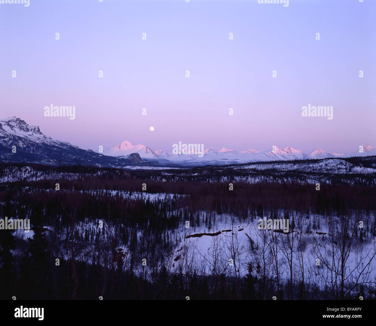 Moonrise, Sunset, Denali National Park, Alaska Stock Photo - Alamy