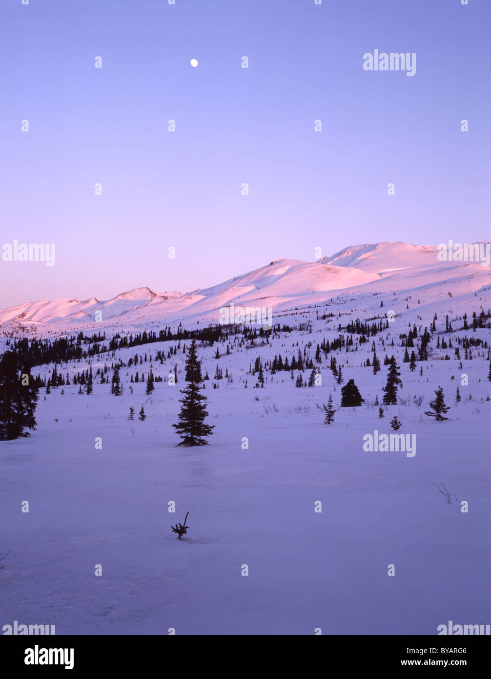 Denali wilderness lodge hi-res stock photography and images - Alamy