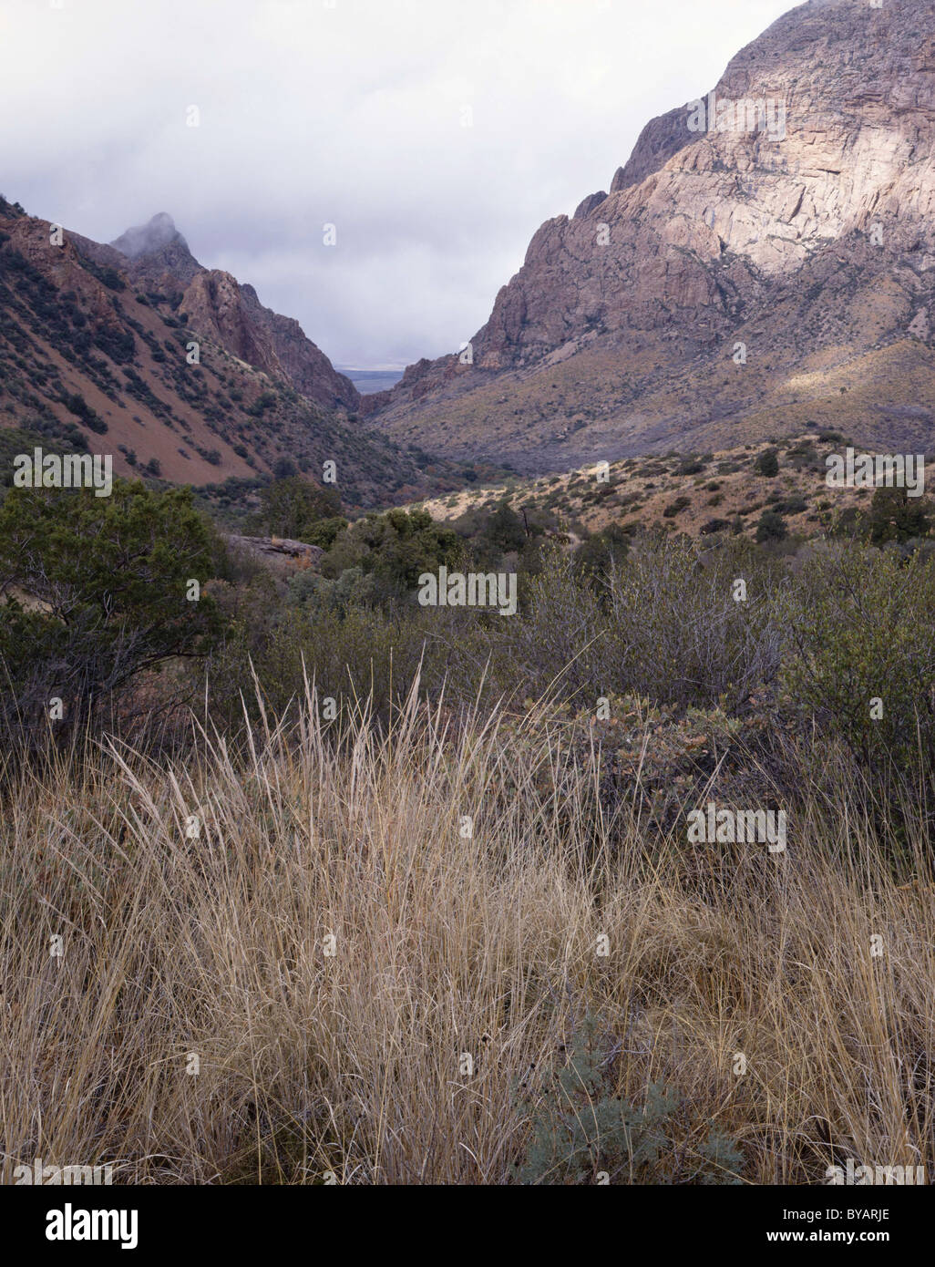 Chisos Basin, Big Bend National Park, Texas Stock Photo - Alamy