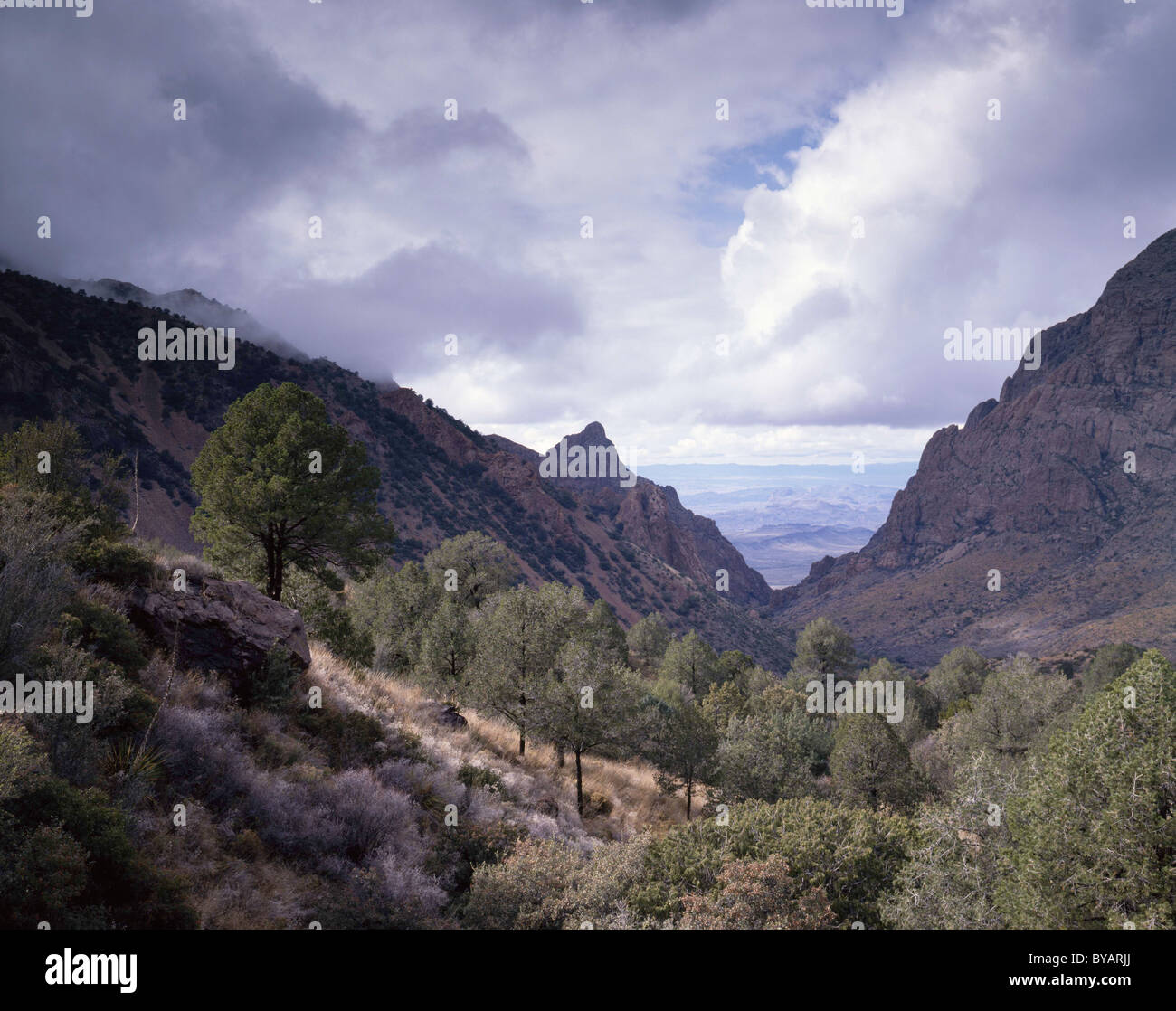 Chisos Basin, Big Bend National Park, Texas Stock Photo - Alamy