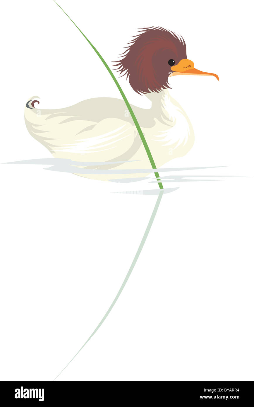 Cartoon duckling hi-res stock photography and images - Alamy