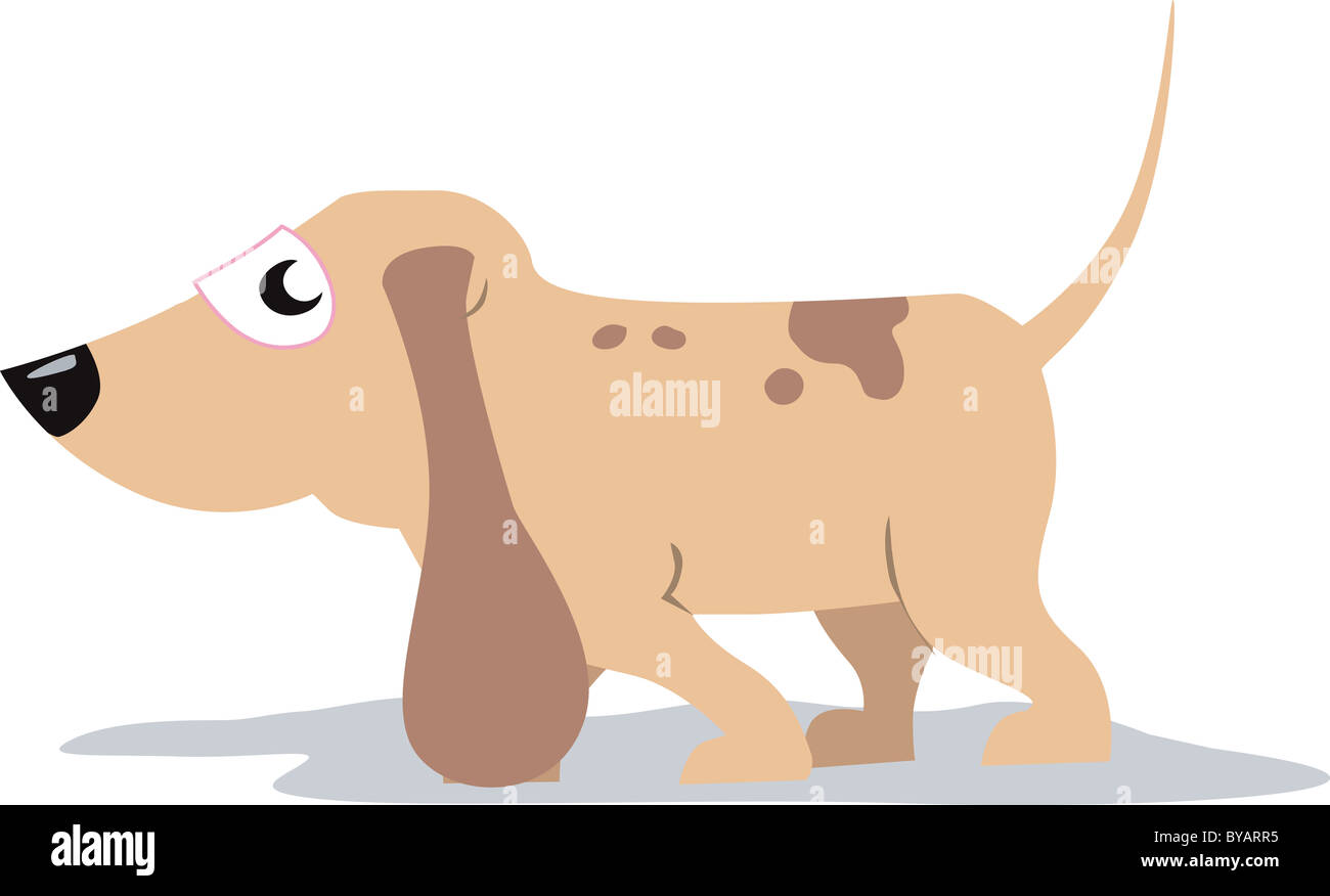 Furious dog hi-res stock photography and images - Alamy