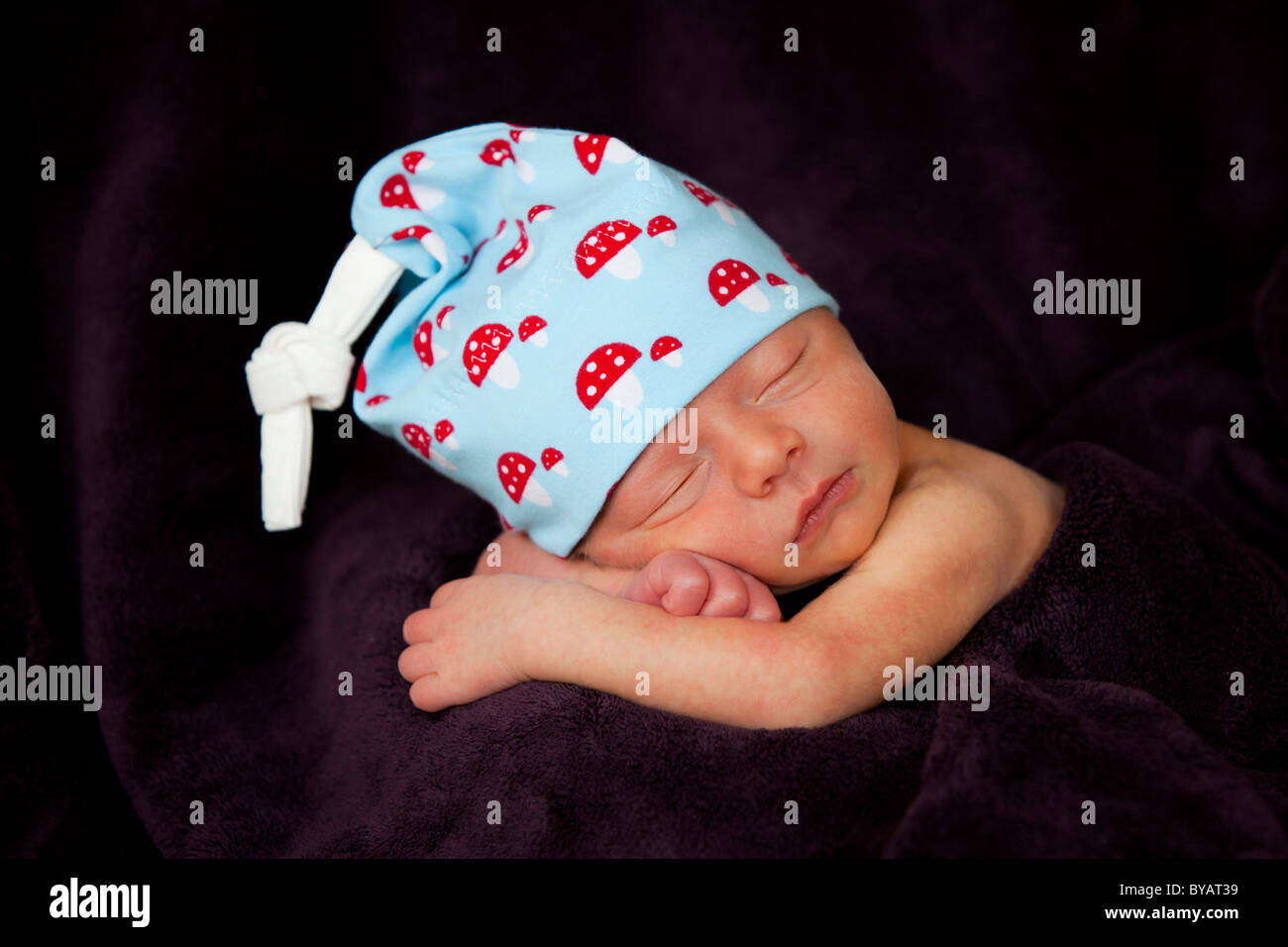 One week old young hi-res stock photography and images - Alamy