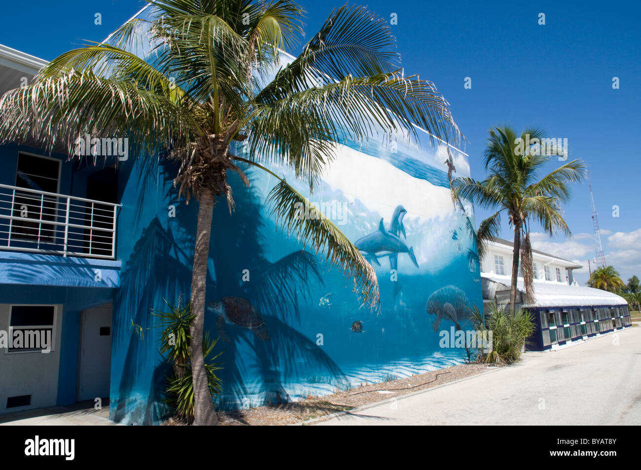 Mote Marine Laboratory, Sarasota, Florida, USA Stock Photo - Alamy Mote Marine Laboratory, Sarasota, Florida, USA Stock Photo - Alamy